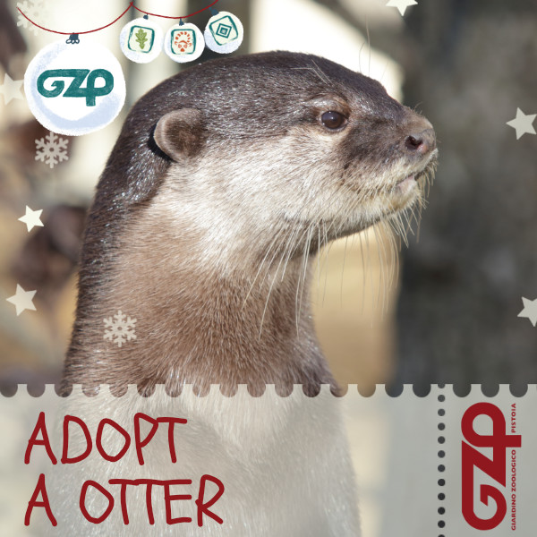 Adopt a species - Giardino Zoologico di Pistoia