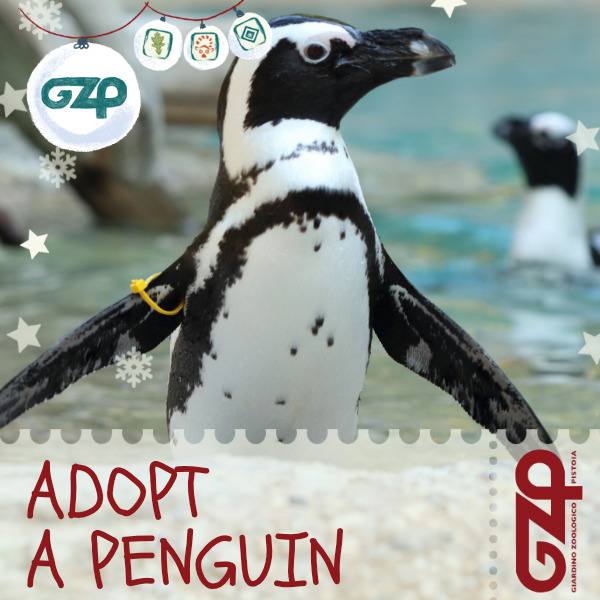 Adopt a species - Giardino Zoologico di Pistoia